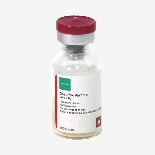 Hester Biosciences Limited Hester Biosciences Limited